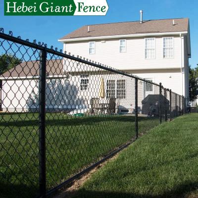 China Iron Galvanized Tube 6 Ft Chain Link Fence Black Powder Coated for sale