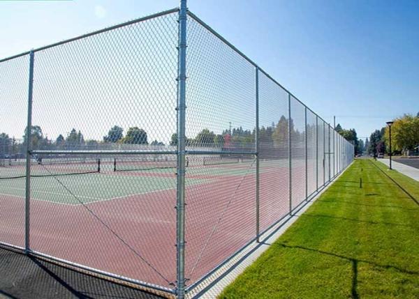 Quality Iron Wire Mesh Chain Link Fence With 60x60mm Mesh Size And 3mm Wire Diameter for sale