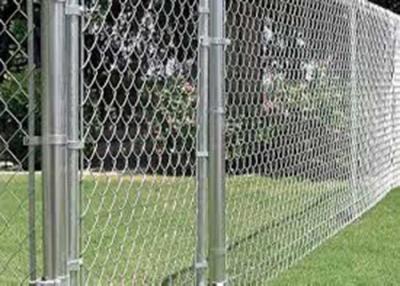 China 1 Inch Galvanize Chain Link Fence Hook Mesh Farm for sale