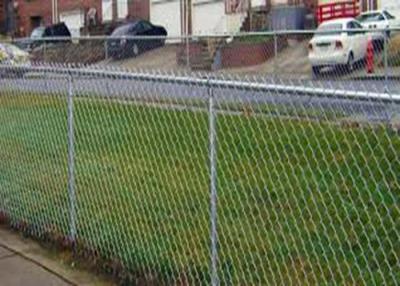 China 1 Inch Galvanize Chain Link Fence Hook Mesh Farm for sale