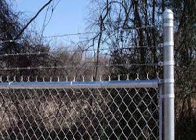 China 1 Inch Galvanize Chain Link Fence Hook Mesh Farm for sale