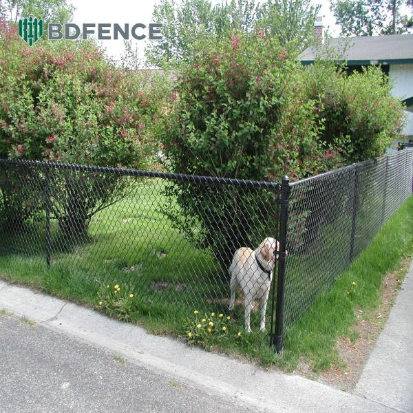 Quality Tennis Court Galvanized Chainlink Fence Roll Cyclone Wire Diamond Mesh Black Pvc for sale