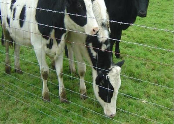 Quality Galvanized Livestock Prevent Hinge Joint Page Wire Farm Field Fence for sale