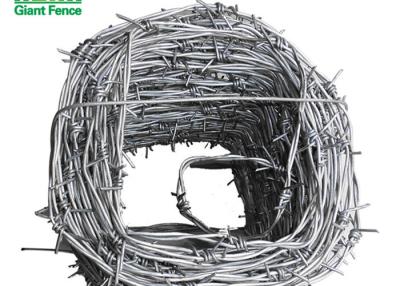 Quality 2 strands L3cm Barbed Wire Razor Wire for prisons for sale