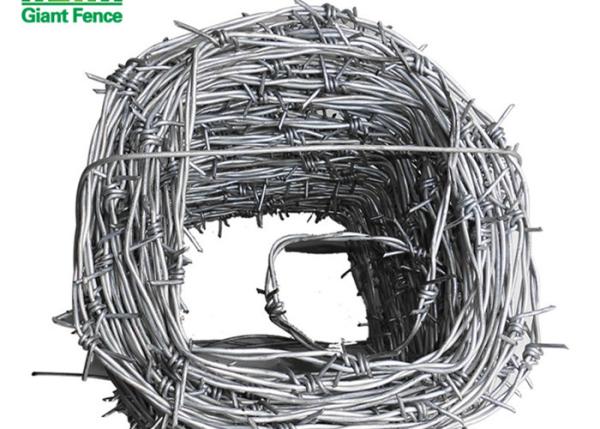 Quality 2 strands L3cm Barbed Wire Razor Wire for prisons for sale
