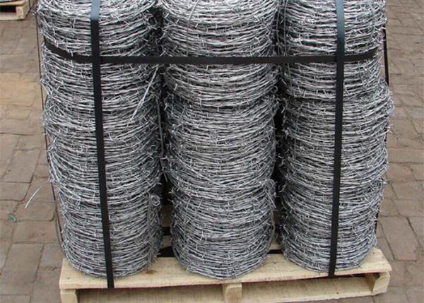 Quality 2 strands L3cm Barbed Wire Razor Wire for prisons for sale