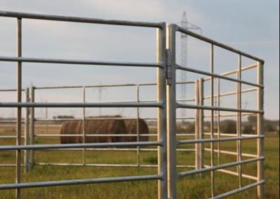 China 6 rails Galvanized 6ft Livestock Fence Panels for sale