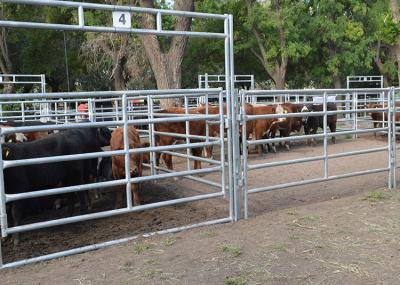 China Farm Interlocking L4m Livestock Fence Panels for sale