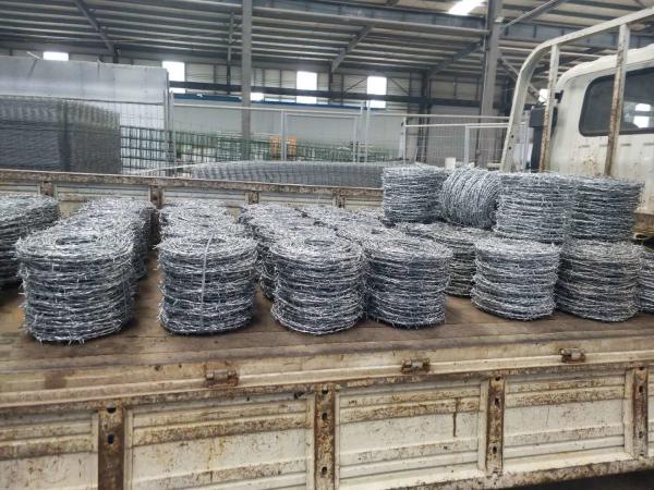 Quality 10kg 1.2mm Galvanized Razor Barbed Wire For Barb Wire Fence for sale