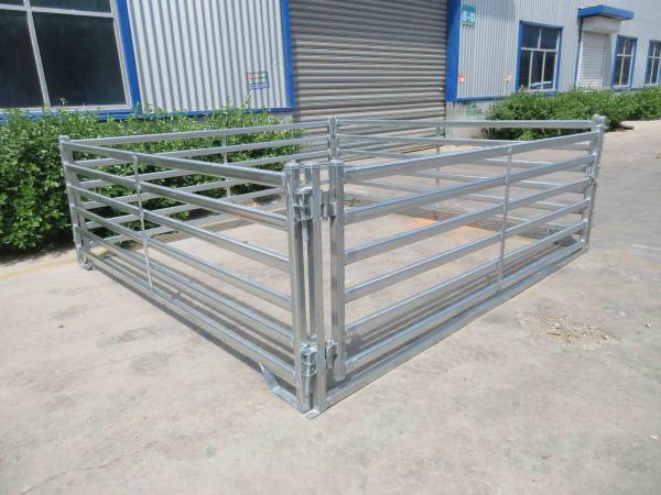 Quality Welded Netting Manufacture Supplier 2x2 Galvanized Cattle Welded Wire Mesh Panel for sale