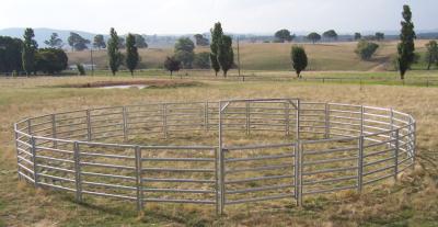 China USA Hot Selling 12 Ft Heavy Duty Livestock Panel Fence / Horse Corral Panels for sale
