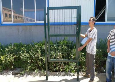 China Garden Decoration Low 3D Steel Wire Galvanized Coated Fence in Sliver for sale