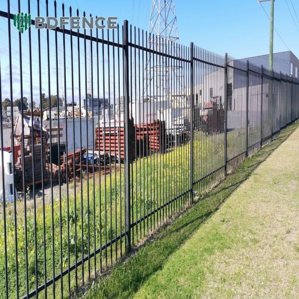 Quality 6Ftx8Ft Garden Black Metal Fences Anti Rust Galvanized Steel Fence for sale