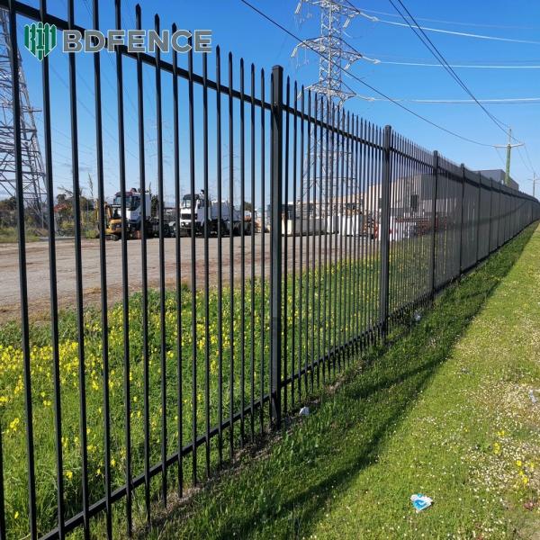 Quality 6Ftx8Ft Garden Black Metal Fences Anti Rust Galvanized Steel Fence for sale