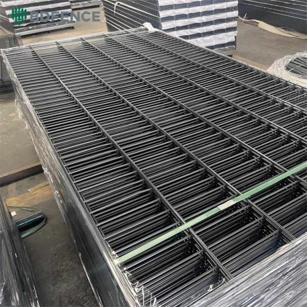 Quality Germany Style 8/6/8 Double Wire Mesh Fencing Rodent Proof for sale