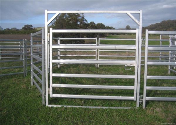 Quality Square Tube H1800mm Welded Cattle Gate Fence for sale