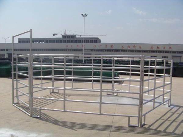 Quality Square Tube H1800mm Welded Cattle Gate Fence for sale