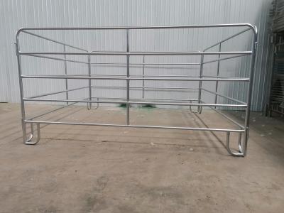 China Livestock Cattle 1.6m Metal Farm Gate Galvanized Steel Pipe Design for sale