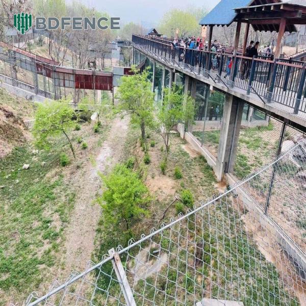 Quality 1.25lb/ft 8ft rail steel Galvanized T Post for sale