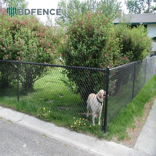 Quality Dog Playpen Chain Link Fence Chew-Proof Edging for sale