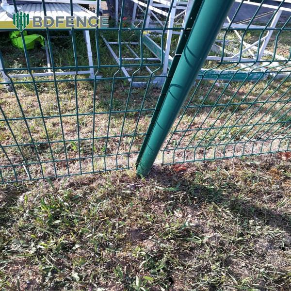 Quality Pet Hospital V Mesh Security Fencing Quarantine Area for sale