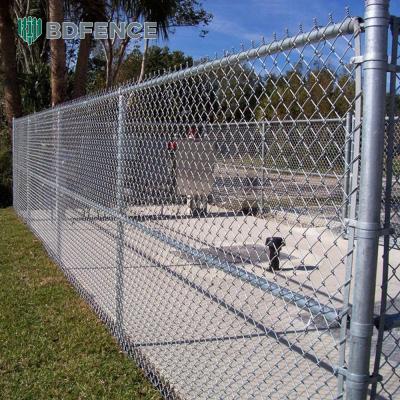 China Cheap Galvanized Diamond Wire Netting Pvc Chain Link Fence for Seaside Fence for sale