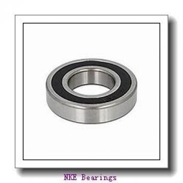 China 220 mm x 460 mm x 145 mm NKE NU2344-E-MA6 cylindrical roller bearings for sale