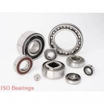 China Toyana NJ2952 cylindrical roller bearings for sale