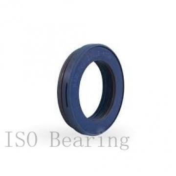 China ISO NP19/710 cylindrical roller bearings for sale
