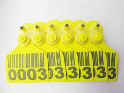 China animal cattle ear tags,cow ear tag for sale