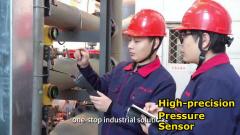 Independent Packaging & Testing: High-Precision Monocrystalline Silicon Sensor