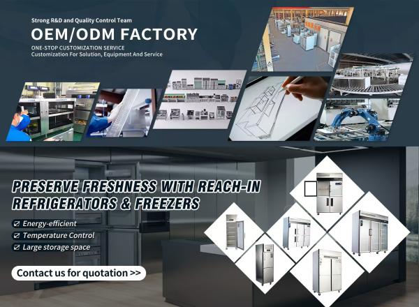 Quality Double Doors Refrigerator for Customized Commercial Kitchen 405L~1300L for sale