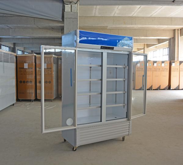 Quality 110V/60HZ Voltage Commercial Refrigerated Drinks Display Case with R290a Refrigerant for sale