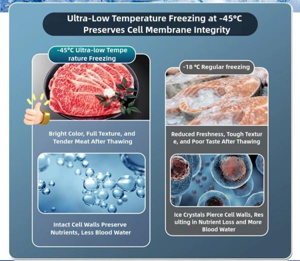 Quality 8.5-10cm Foam Layer Ultra-Low Chest Freezer for Large Capacity -60°C Seafood for sale
