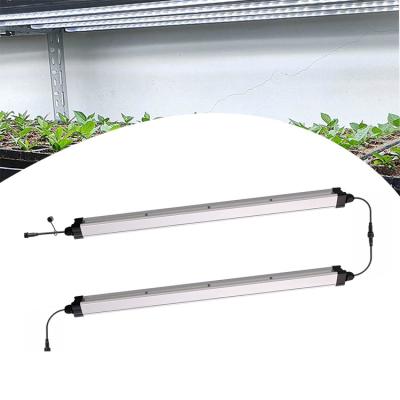 Cina la luce progressiva completa di spettro 160lm/w spoglia le luci progressive di Sunlike LED per il succulente di coltura idroponica in vendita