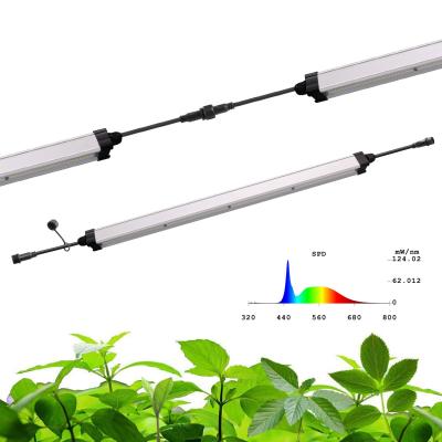 Cina La luce progressiva della serra LED spoglia la luce solare completa di spettro bianca per il fiore di verdure in vendita