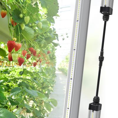 Cina Strisce complete LM301B di Antivari di luce progressiva delle serre LED di orticoltura Spectum LED in vendita