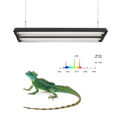Cina Il dispositivo della lampada di calore del rettile di rettangolo si raddoppia basso profilo di T5 UVB in vendita