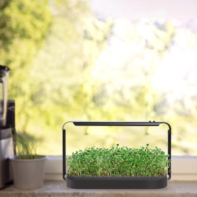 Cina Hydroponics Indoor Herb Garden Kit Mini Plant LED coltiva le luci per la germinazione della scuola materna in vendita