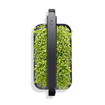 Cina Sistema di coltivazione idroponica intelligente Kit di germinazione delle piante da interno per il giardinaggio domestico in vendita
