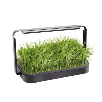 Cina 6400k Luci progressive da tavolo Microgreen Indoor Alloy Black 16W Smart in vendita