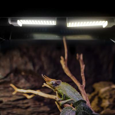 Cina Lampada di riscaldamento UV di spettro di UVB della lampada piena di Sun per la base della lucertola E27/E26 del rettile della tartaruga in vendita