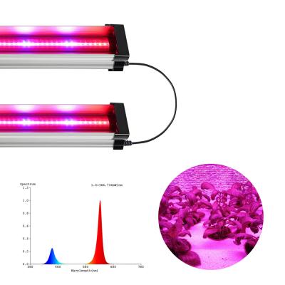 Cina Strisce complete della luce progressiva della pianta di Sunlike LED di spettro per il succulente di coltura idroponica in vendita