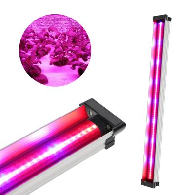 Cina Supplemento rosso/blu di SMD2835 di spettro completo su misura LED della luce progressiva idroponica in vendita