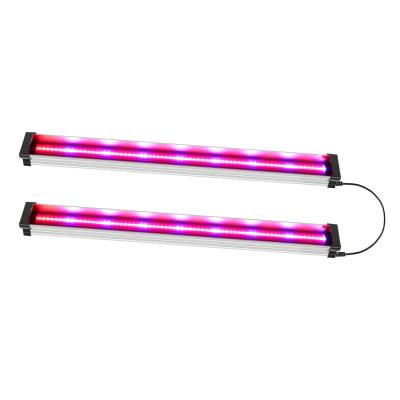 Cina Supplemento rosso/blu di SMD2835 di spettro completo su misura LED della luce progressiva idroponica in vendita