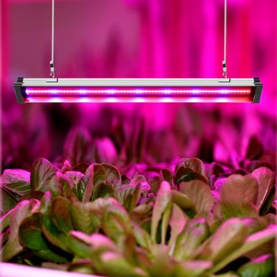 Cina Strisce bianche 24w 2ft della luce progressiva di luce solare completa LED di spettro per le erbe/succulenti in vendita
