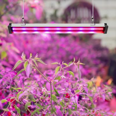 Cina spettro completo di alluminio di Antivari di luci progressive di 3ft 39W LED/spettro blu rosso per le piante d'appartamento in vendita