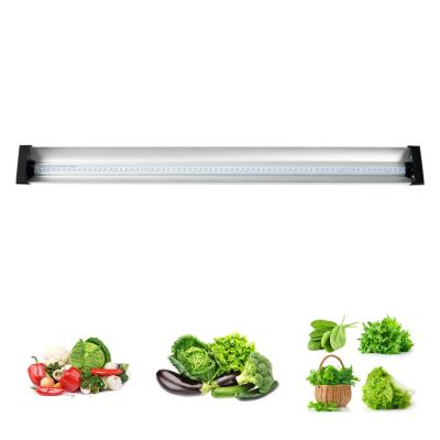 Cina 15000lm le luci complete LED del coltivatore di spettro LED coltivano la durata della vita della lampada 50 3 anni di garanzia in vendita