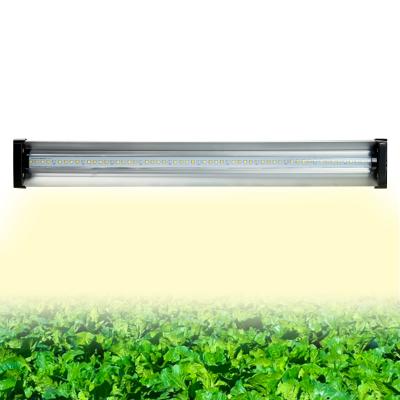 Cina luci progressive complete di spettro LED di 420X210X60mm che piantano le lampade 3 anni di garanzia in vendita