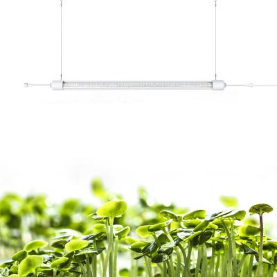 China Os diodos emissores de luz Sunlike crescem o jardim da lâmpada que ilumina Hydronic para crescer o poder superior conduzido claro conduzido crescem luzes à venda